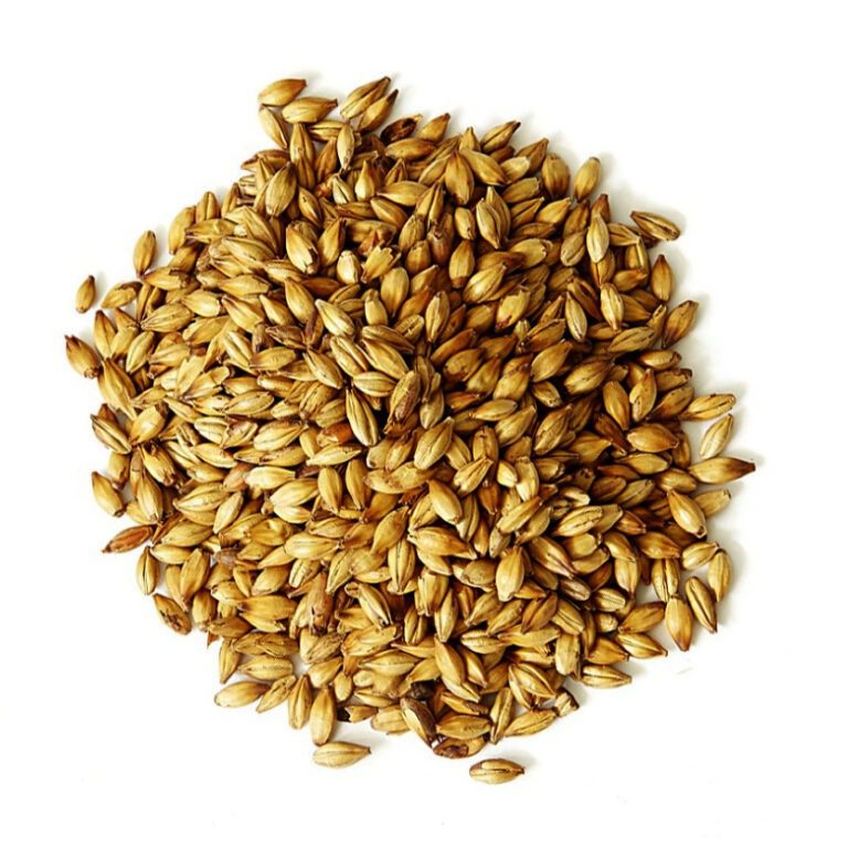 Malta | Cerveza Artesanal | CIBART | Proveedor Oficial