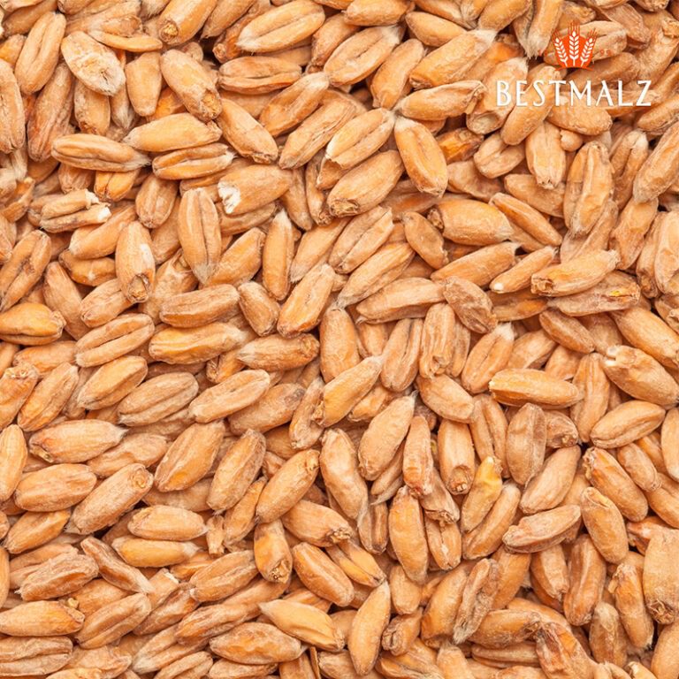 Maltosa X 1 Kg | CIBART