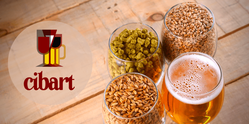 Curso Inicial De Cerveza Artesanal - Capacitación