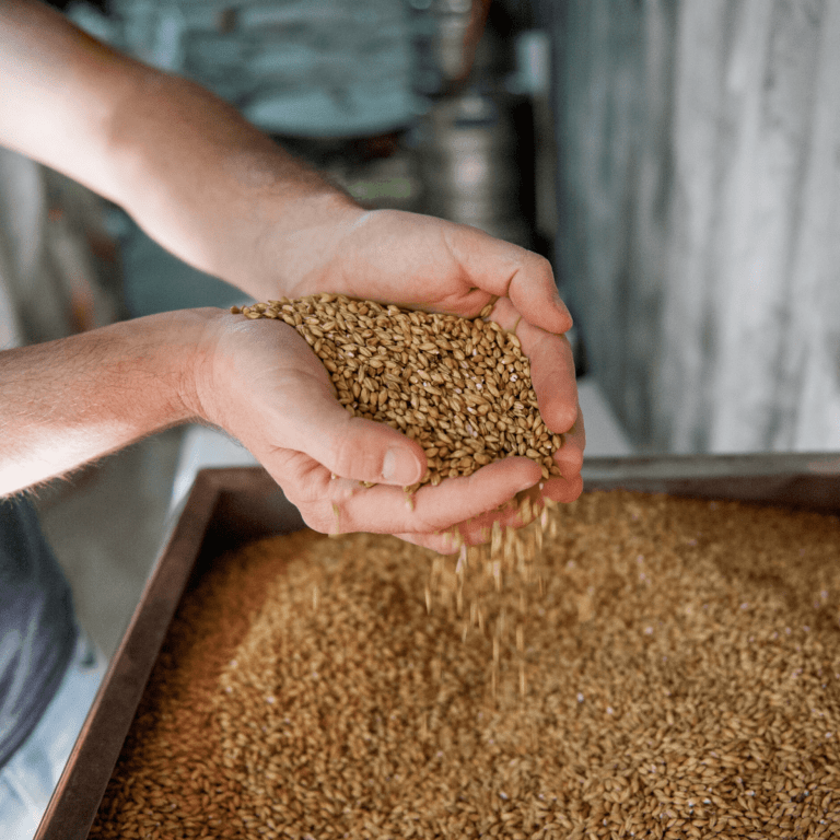 Malta | Cerveza Artesanal | CIBART | Proveedor Oficial