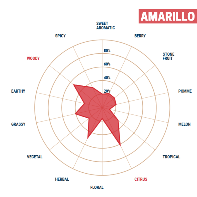 Lúpulo Amarillo X 454 Grs Yakima Chiefs | CIBART